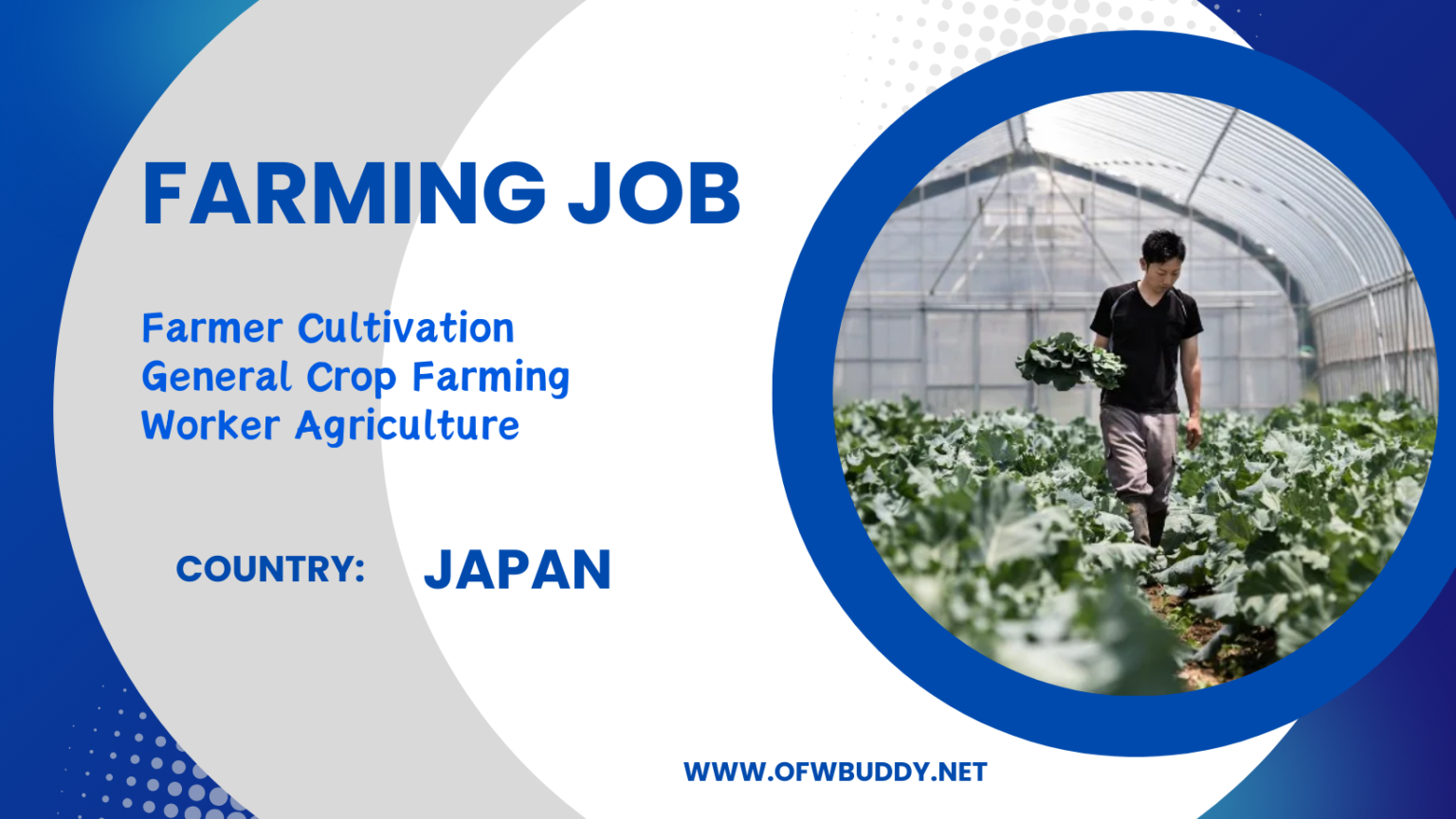 Hiring Farm Workers under Nihon Kokusai Recruitment Agency Co.
