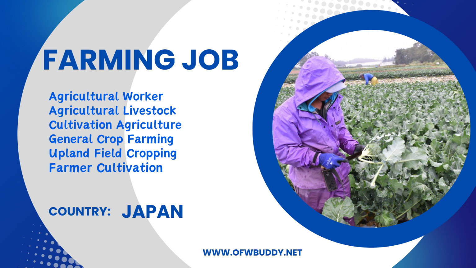 Hiring Farm Workers under Wonderful International Services, Inc.